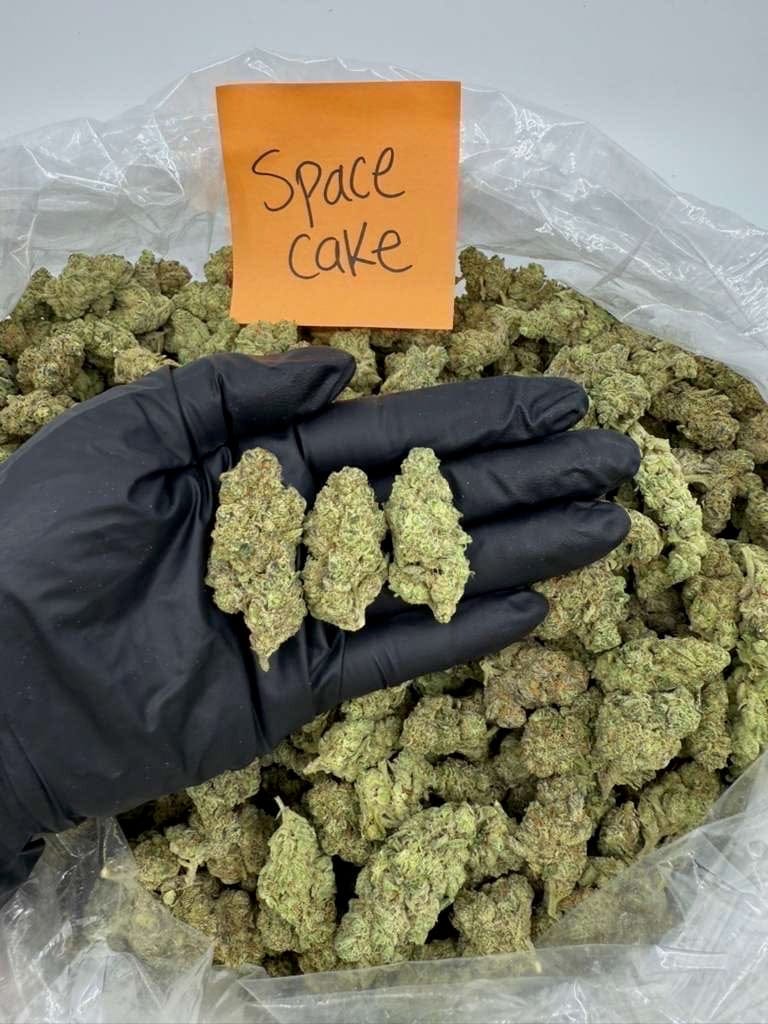 Space Cake - Indica-Dom Hybrid - Value Indoor THCA Flower Full Size Bu ...